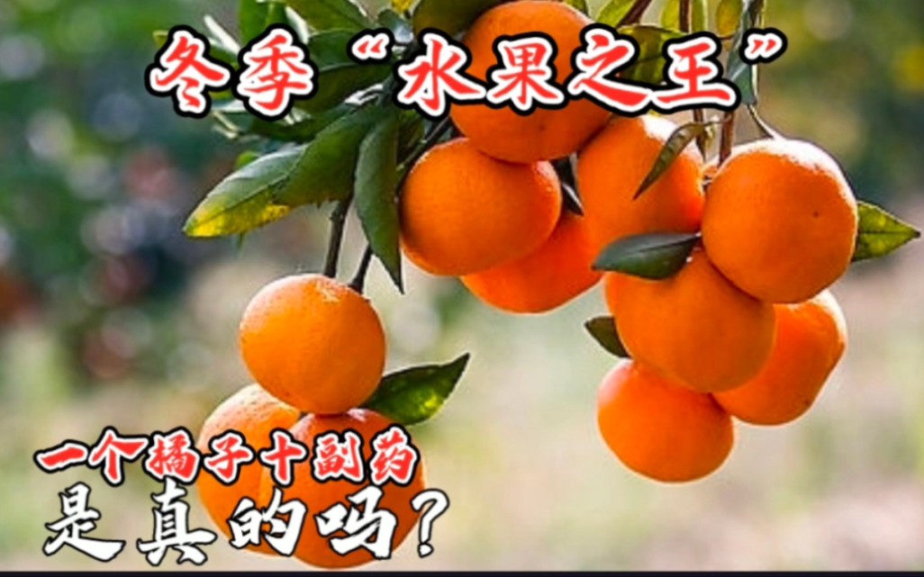 家里的橘皮可以做陈皮用吗?橘子吃多了会变“小黄人”?看看你是不是...