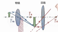 高中生物实验 第1集 学习用高倍镜观察各种自制临时装片