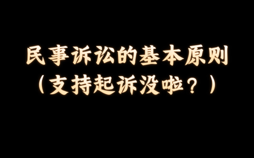 民事诉讼的基本原则(支持起诉没啦?)