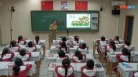 ...语文一下《6树和喜鹊》西藏省级优课(部编版小学语文研讨课教学实录)