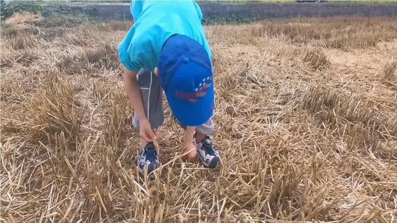 劳动不仅光荣,还能带给我们难得的生活体验#干活我是认真的