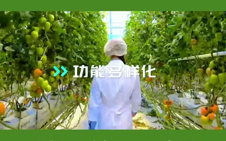 做到这些,数字农业就能建设成未来农场#数字农业规划#未来农场#5G...