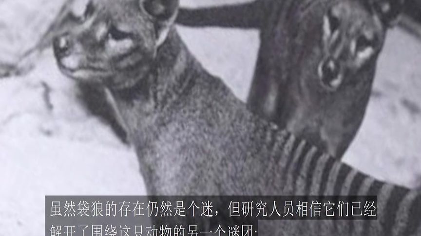 5个超诡异世界未解之谜,现在为您揭秘,不要错过!