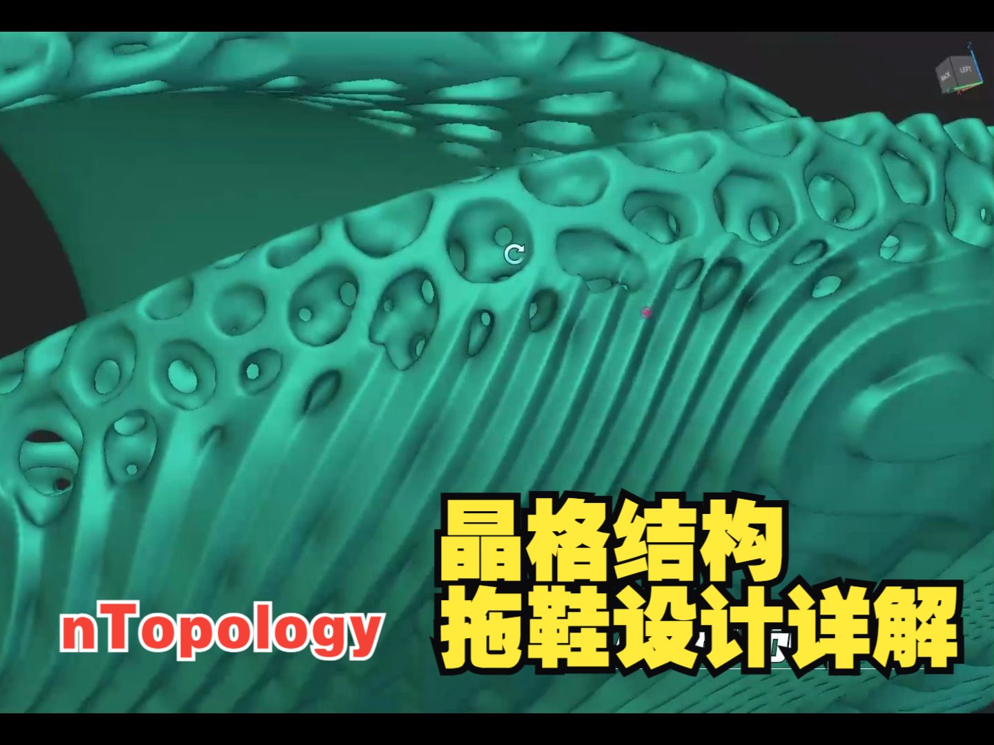 nTopology晶格结构拖鞋设计详解