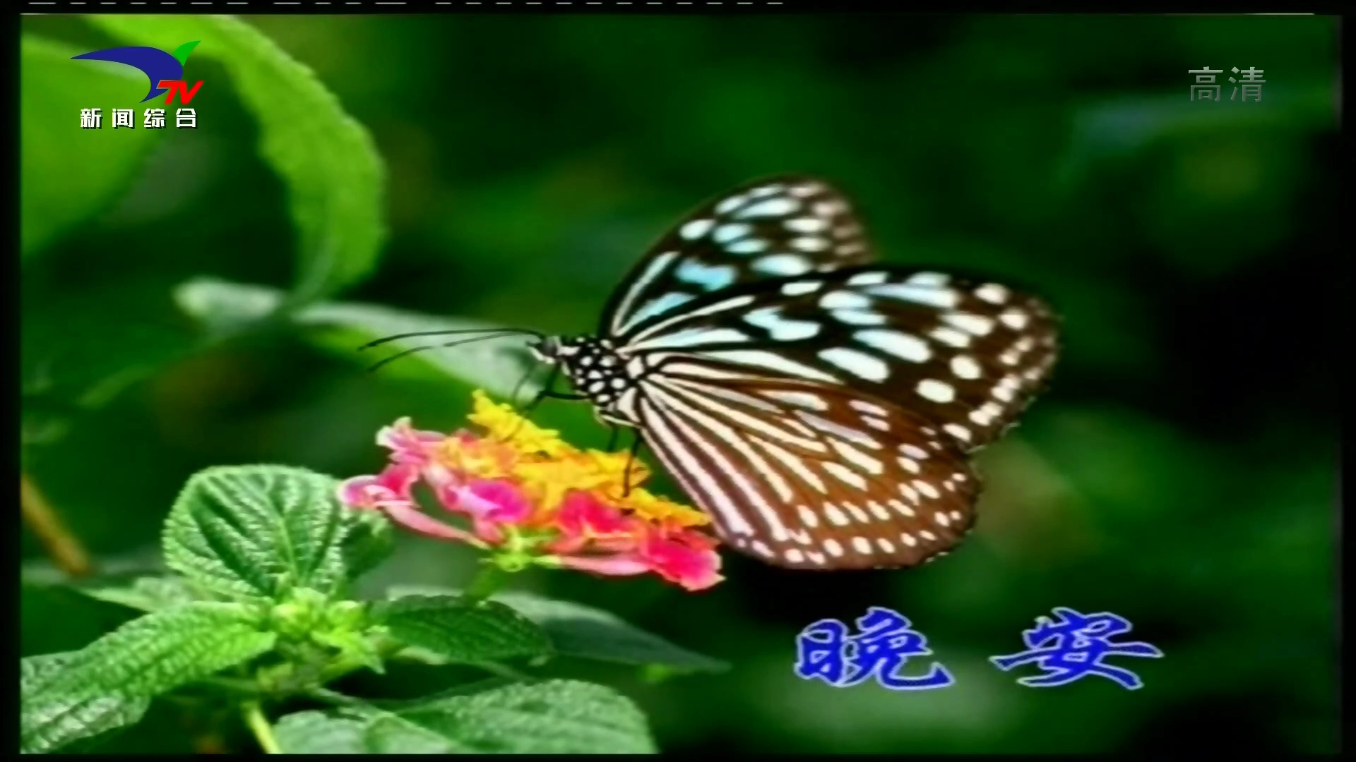 信阳新闻综合频道闭台20220701