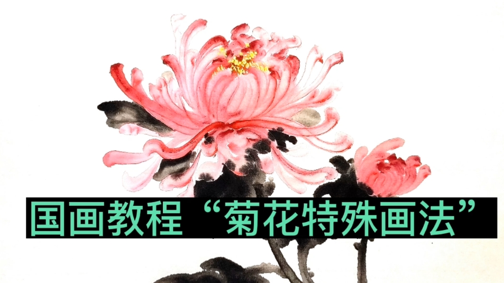 国画写意入门教程,菊花特殊画法
