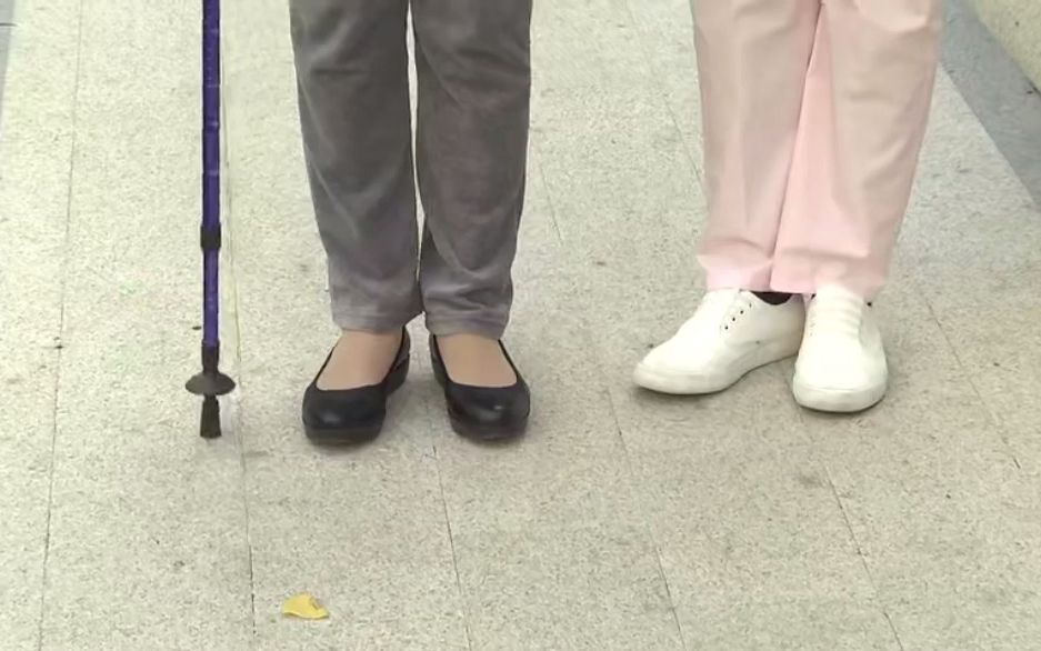 老年照护——初级养老护理员 手杖的使用