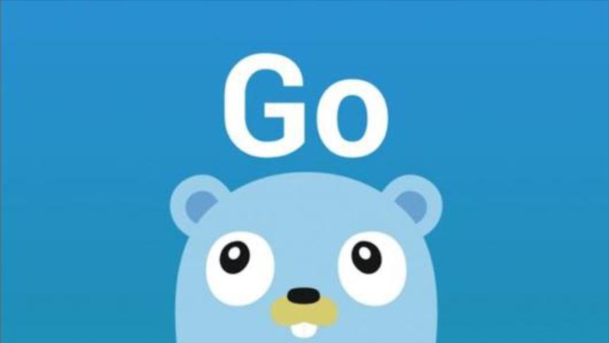 【第88章】go语言golang实战视频教程之今日内容