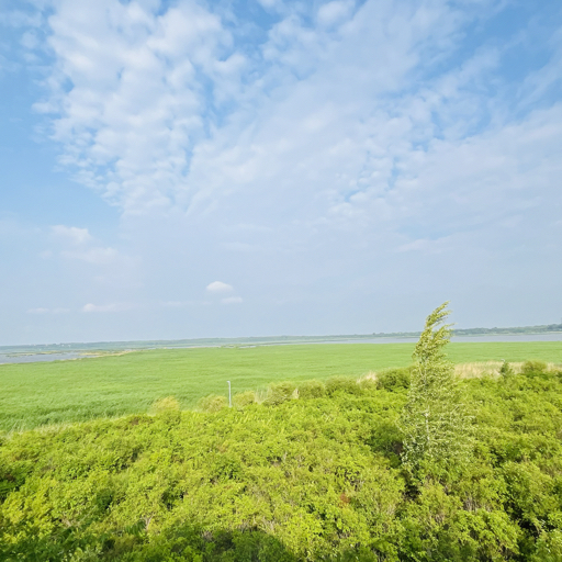 高高学长学经济 