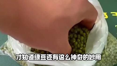 手把手教你发豆芽!神奇生长过程全记录