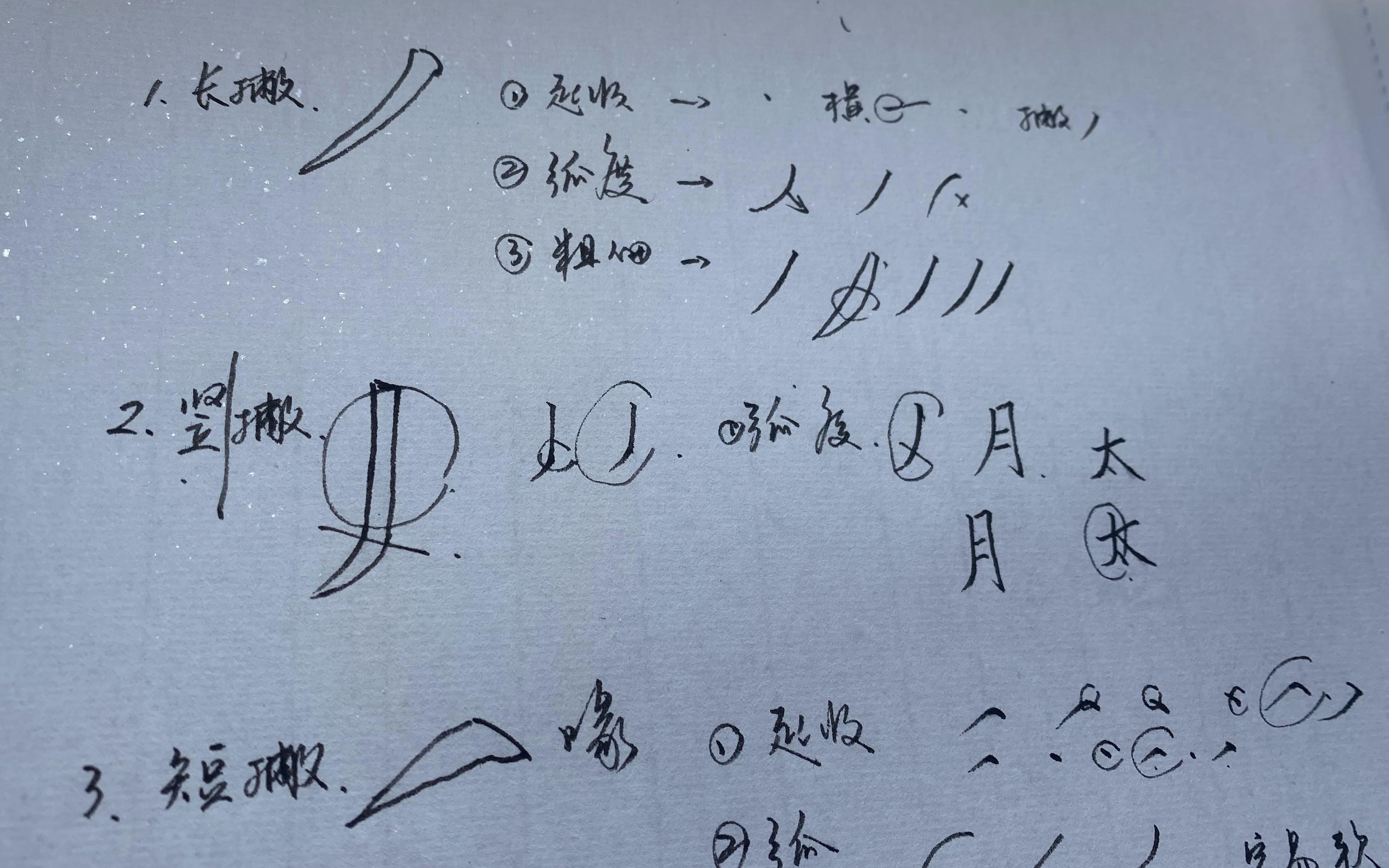 【硬笔临古教程】第八期:长撇短撇竖撇写法不清?一期教会你区别