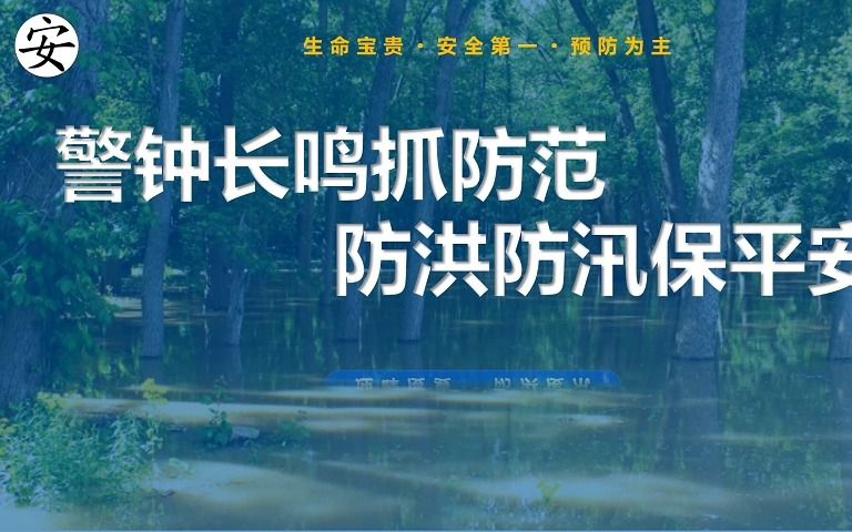 警钟长鸣抓防范 防洪防汛保平安
