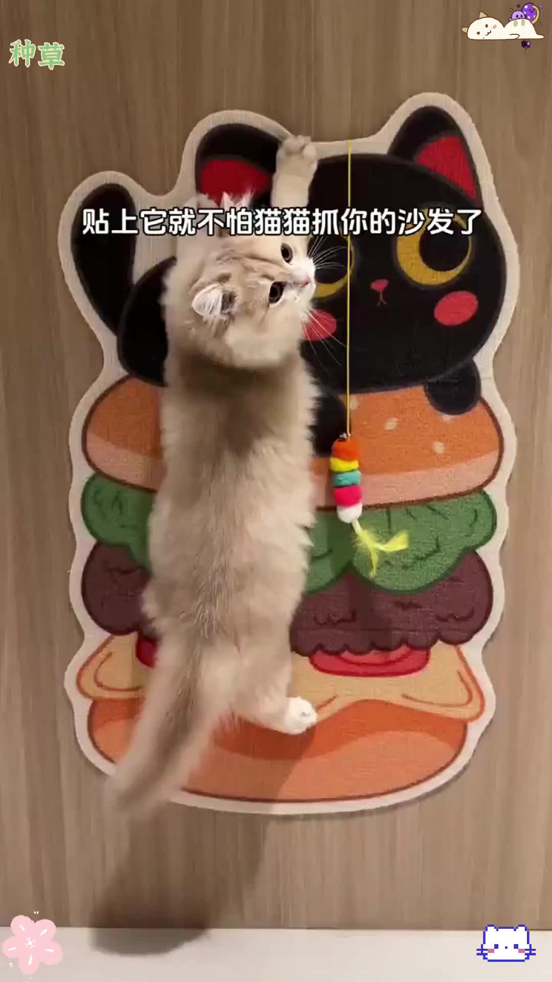 ...耐磨耐抓不掉屑#养猫人 #逗猫神器 #养猫用品推荐 #养猫好物 #猫抓板