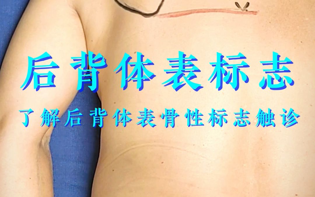 后背部肩胛骨体表骨性标志触诊