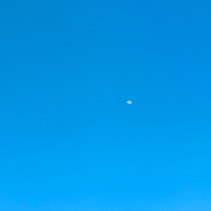 若是Moon还没来 