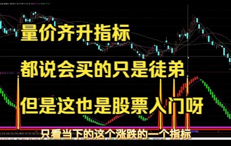 量价齐升指标,都说会买的只是徒弟,但是这也是股票入门呀