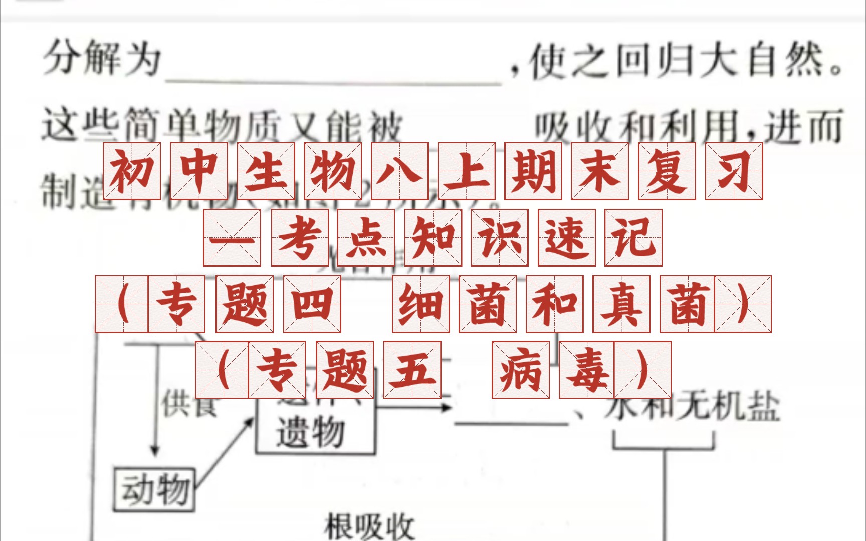 ...上期末复习—考点知识速记(专题四 细菌和真菌 )(专题五 病毒)后附答案