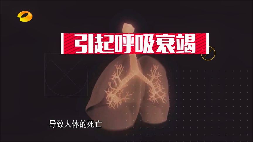 什么是肺结核,它的发病症状有哪些呢?快来了解一下|新闻大求真