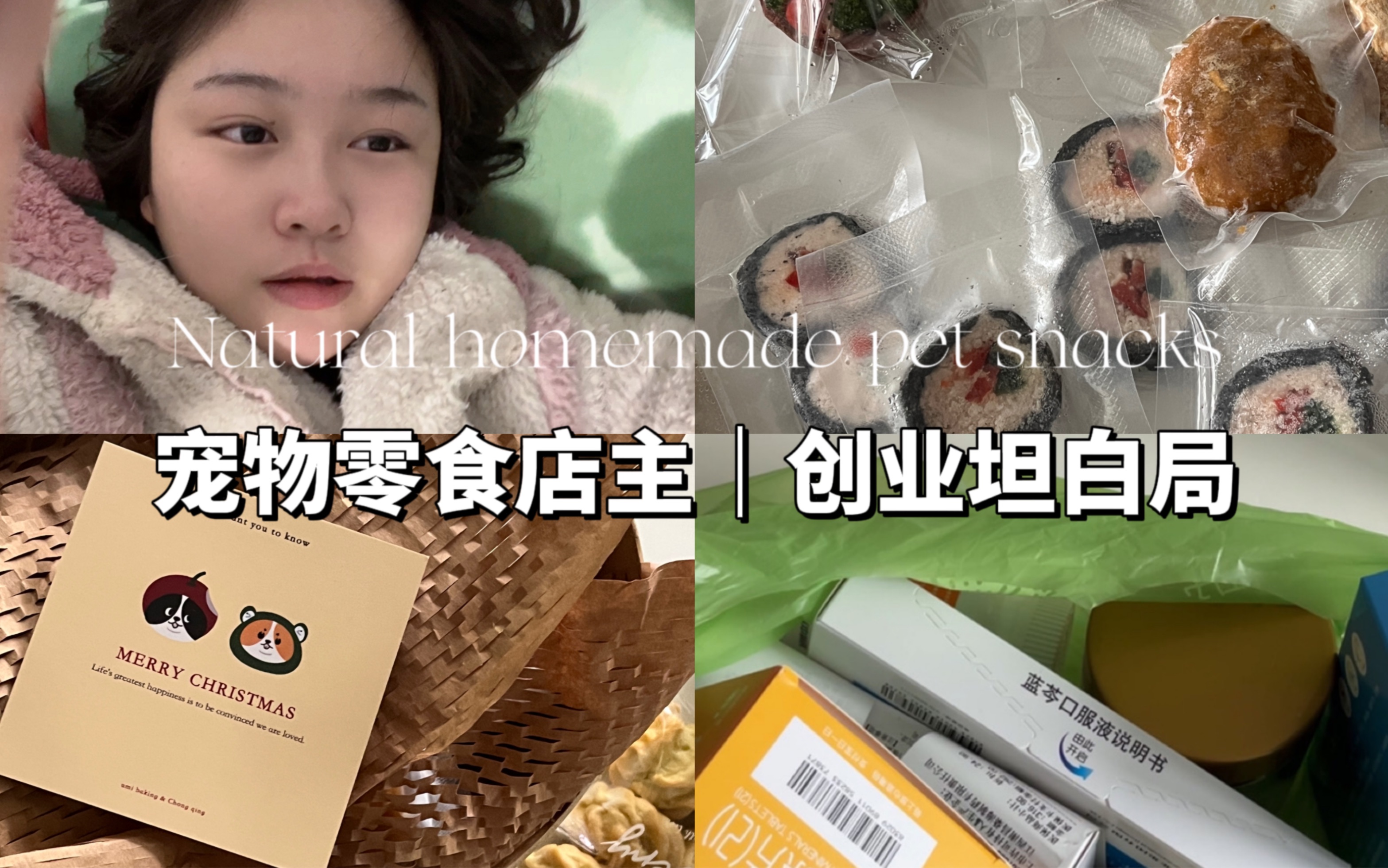 不要因为养狗而做宠物烘焙!创业不易,亲身经历告诉你!