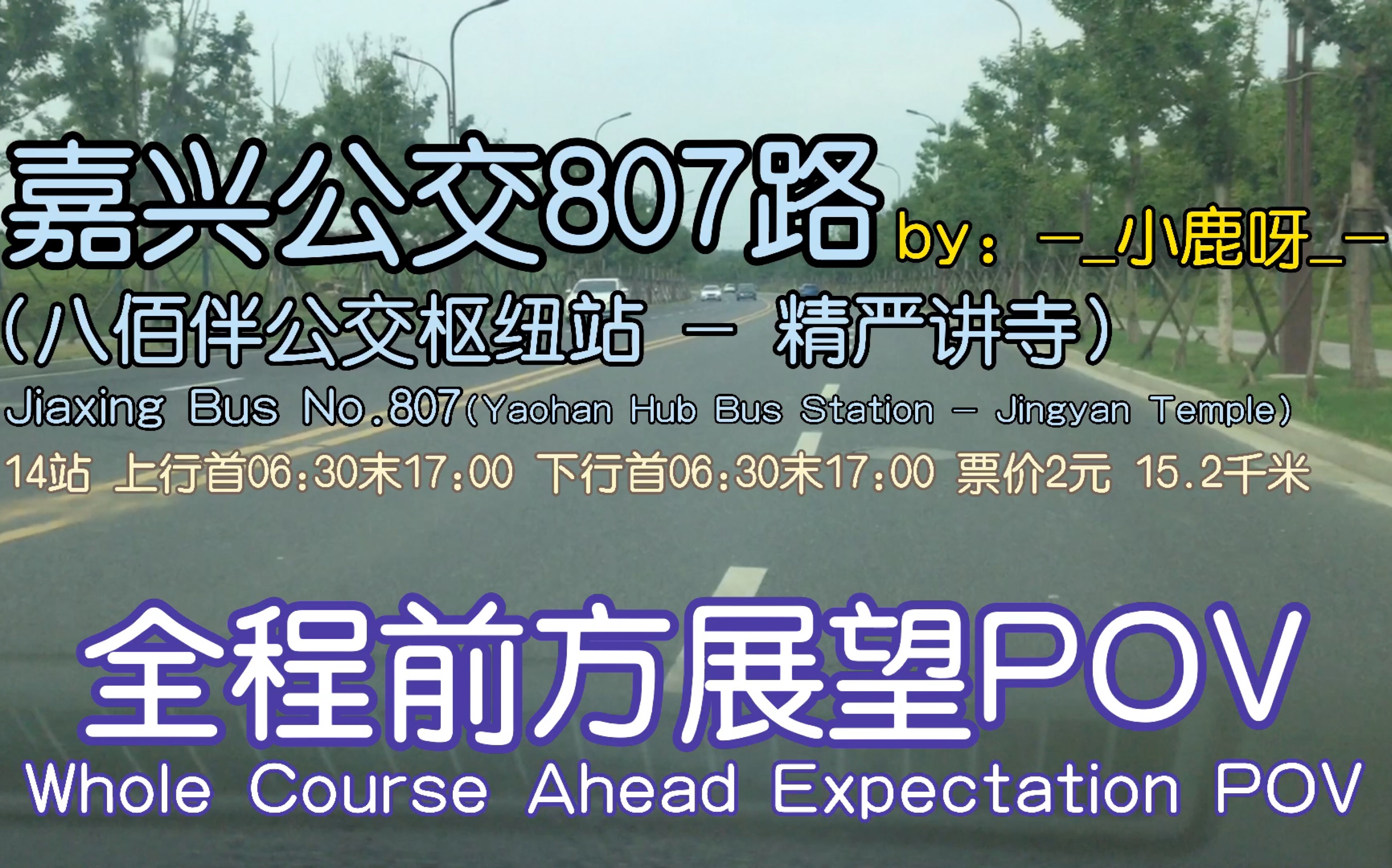 【连接市区与湘家荡的快线】【POV#9】嘉兴公交807路(八佰伴公交...