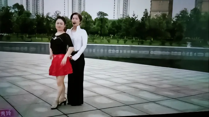 新慢四红枣树背面分解清晰简单易学亲友们快来学学吧