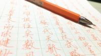 硬笔书法, 能用0.25超细中性笔写成这样, 控笔能力好强!