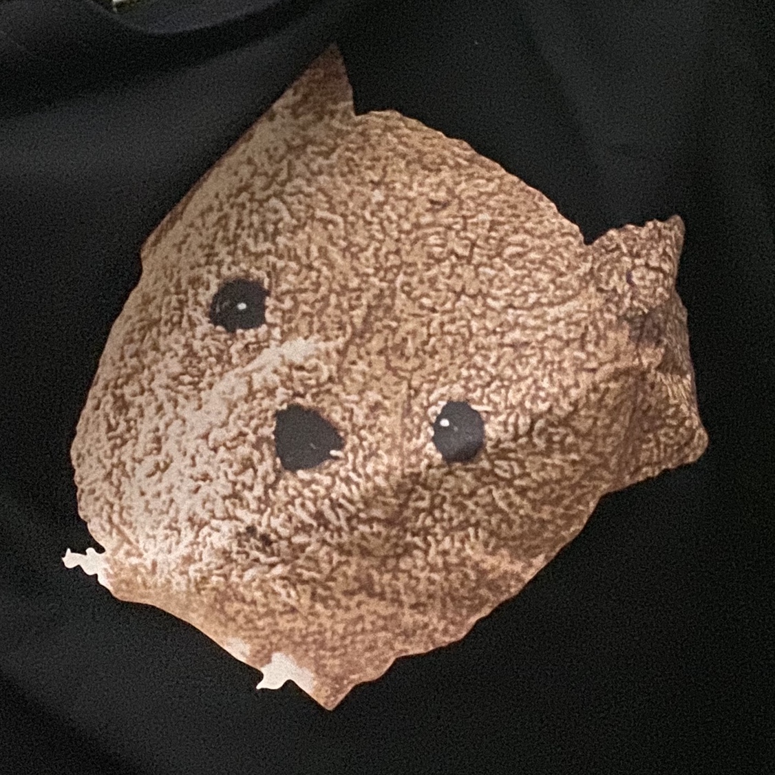 野兔Zzz 