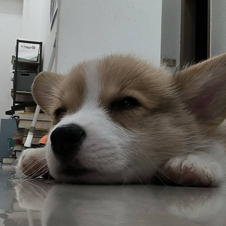 地球汪汪队 