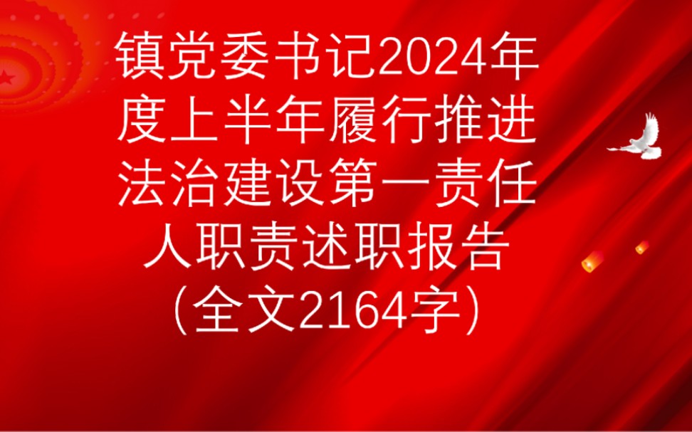 镇党委书记2024年度上半年履行推进法治建设第一责任人职责述职...