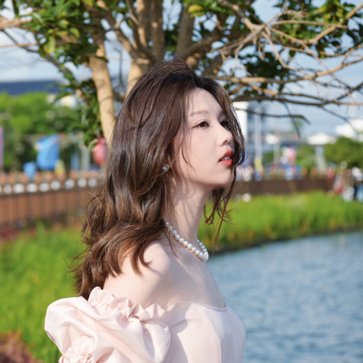 木子李的李大力 