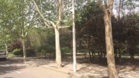 河南牧业经济学院