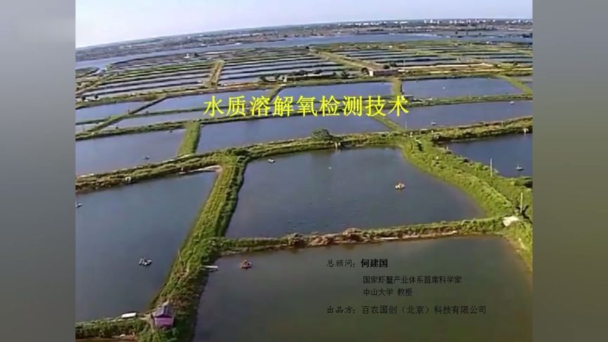 水质溶解氧检测技术