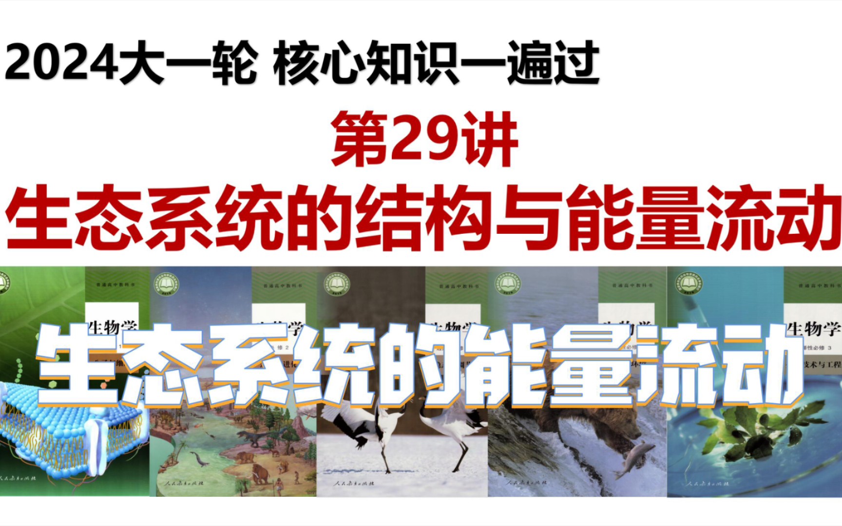 ...第29讲 生态系统的结构和能量流动 考点二 ①生态系统的能量流动过程