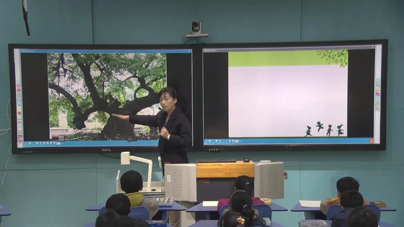 人美版小学美术二上《15大树的故事》奚老师全国一等奖|优质课视频|...