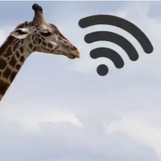 小鹿WiFi 