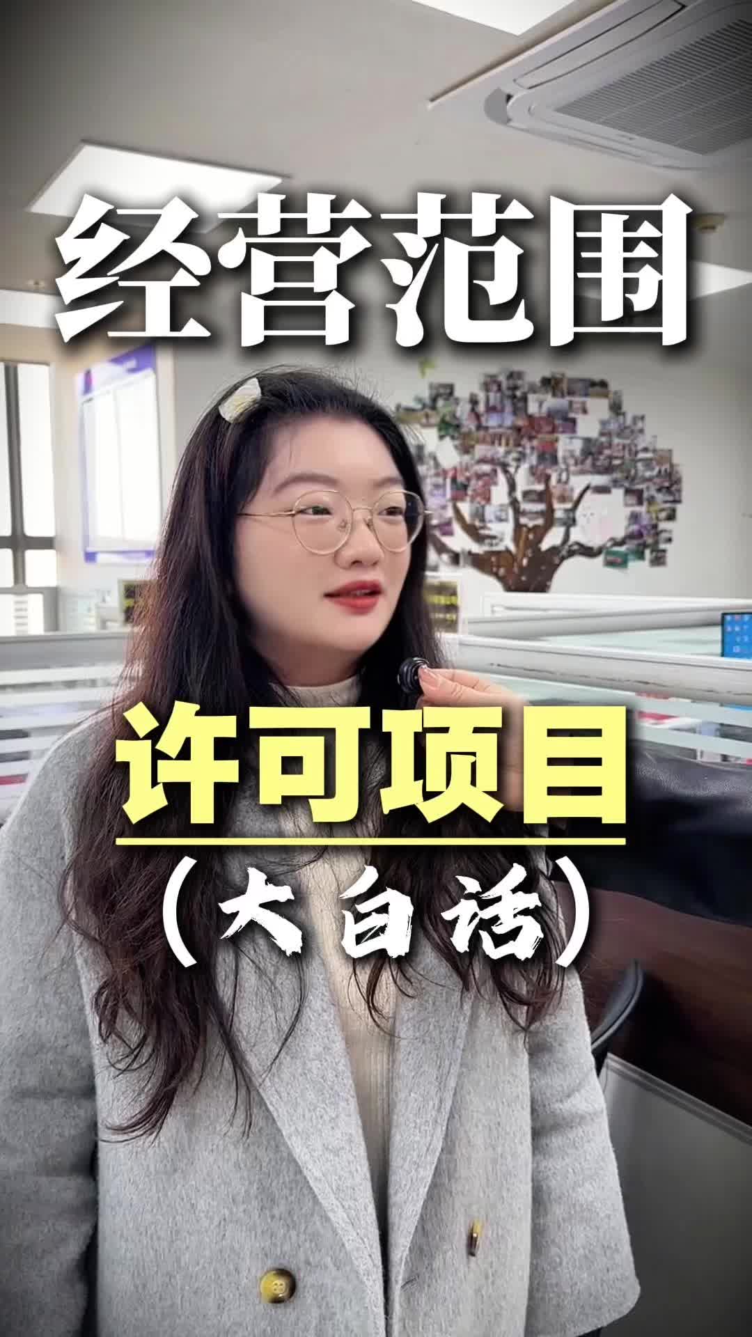 经营范围后面的分类都是什么意思呢?经营范围许可项目大白话#经营...