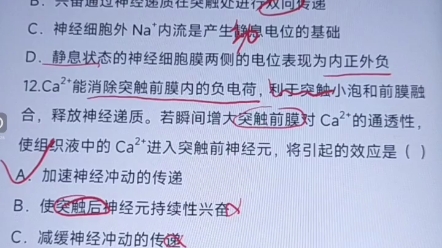 神经冲动的产生与传导