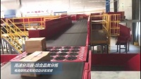 电商行业分拣案例-智慧工厂 智能仓储