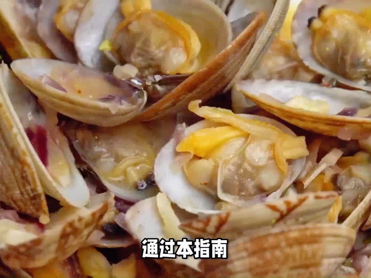 蛤蜊的营养价值有哪些JY