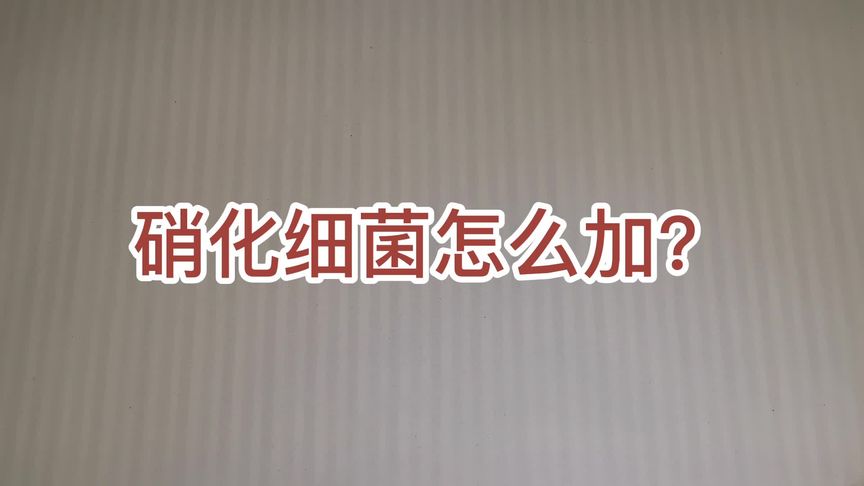 硝化菌是鱼缸生态最重要的一环,怎么给鱼缸加硝化菌呢?#鱼缸
