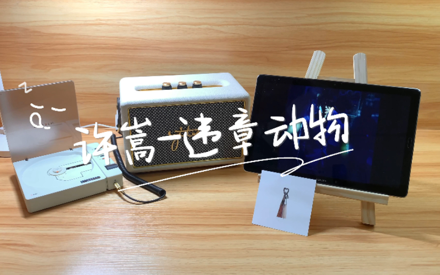 许嵩-《违章动物》就买个红薯吧 否则夜太寒冷 粉丝点歌 cd试听