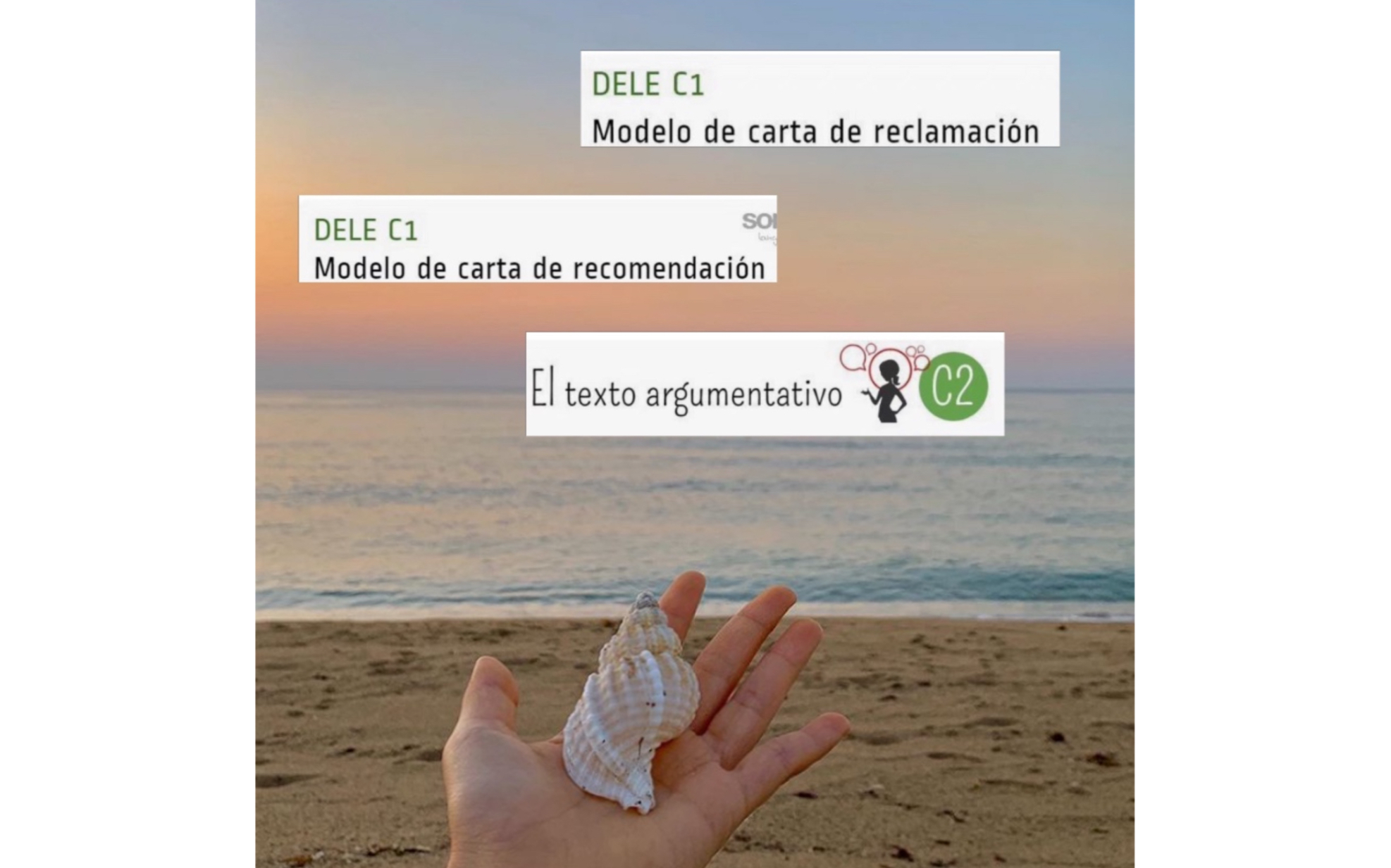 ...西班牙语文章|Dele C1/C2写作 | 西班牙语推荐信/ 投诉信/ 议论文怎么写