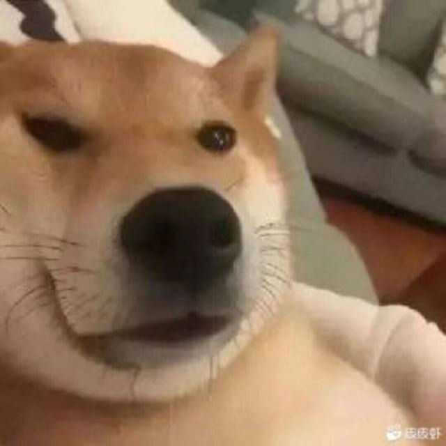 橙子老哥QAQ 