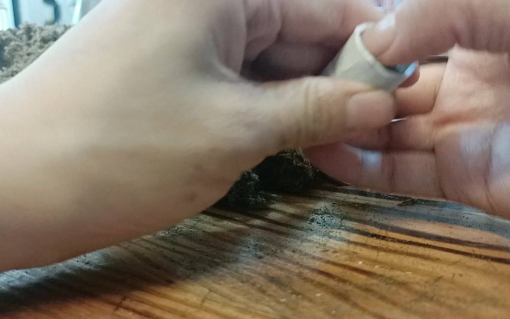 自己纯手工做艾绒艾柱,外加一些自己的碎碎念