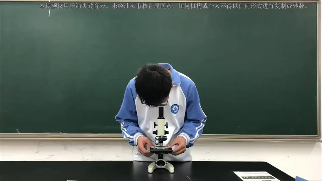 正确使用显微镜观察永久玻片标本2