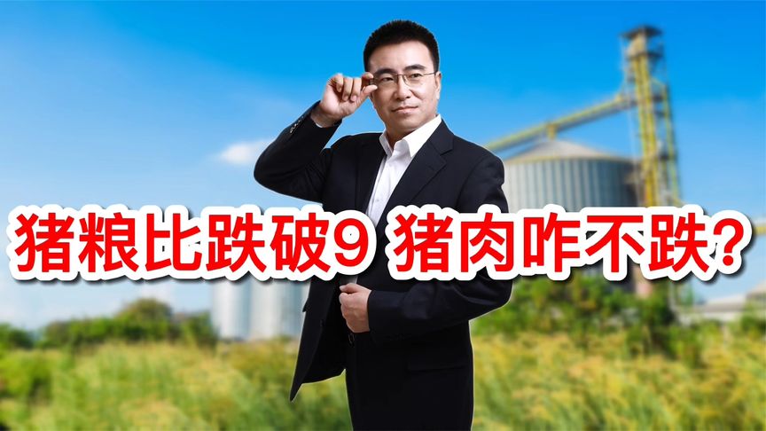 养猪成本17元/斤,生猪均价10元/斤,养殖户的利润从哪儿来?