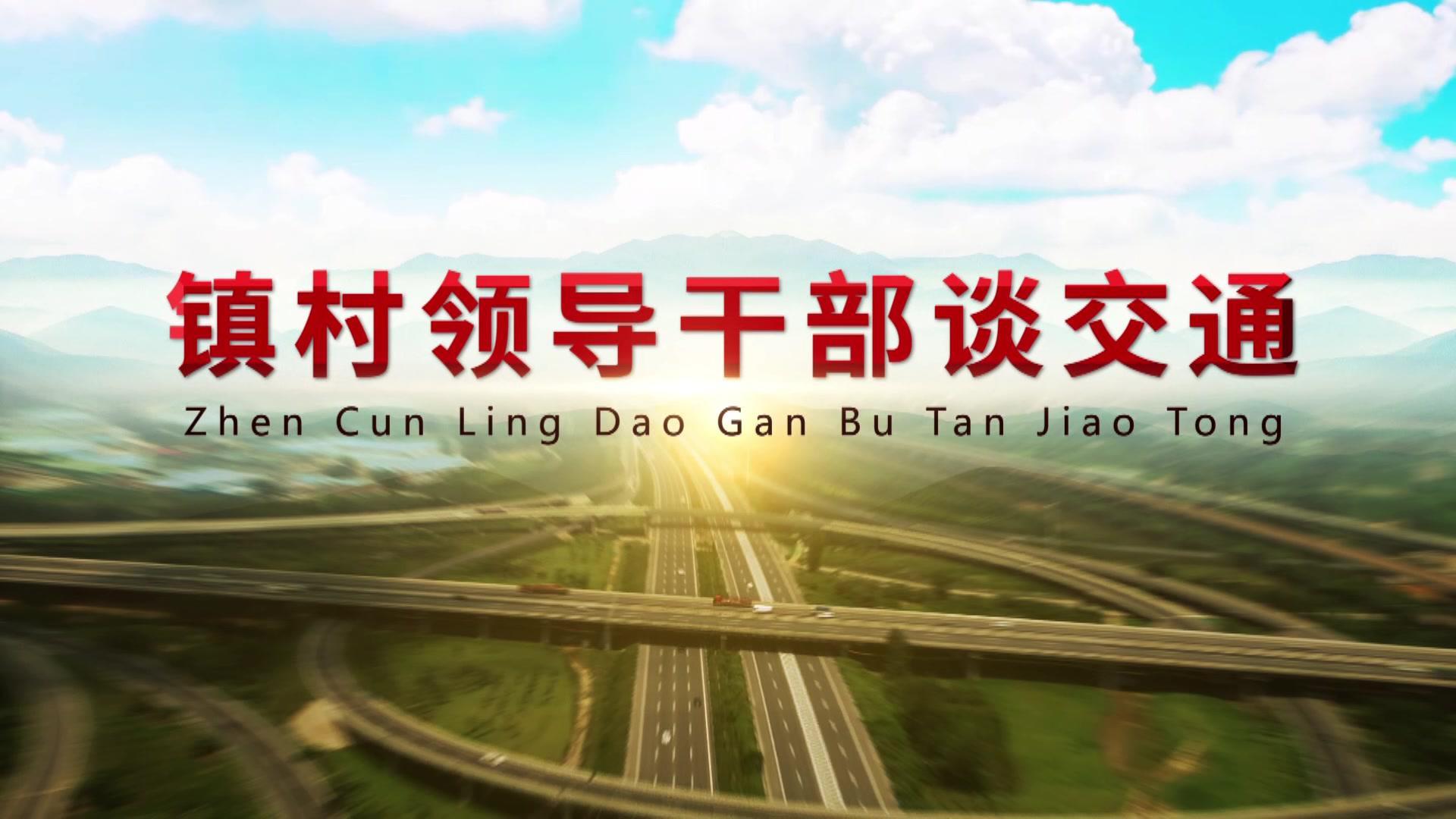 乡镇领导谈交通|民乐县丰乐镇:加强道路管理护航交通安全#美丽乡村#...