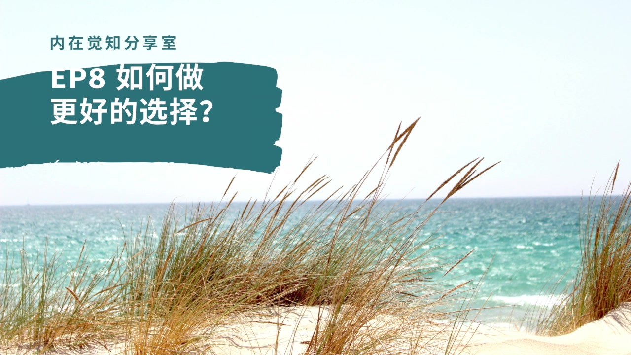 EP8 如何更好的做选择?