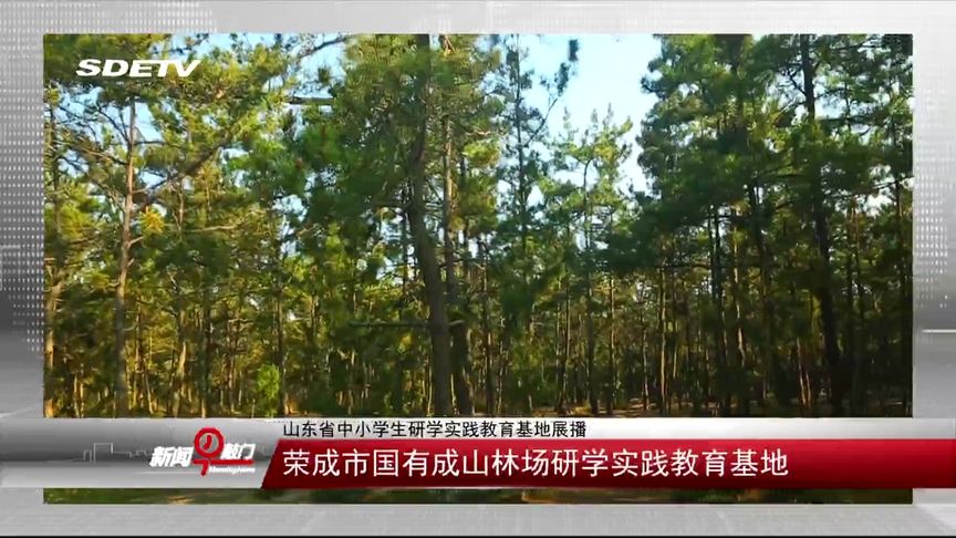 山东省中小学生研学实践基地:荣成市国有成山林场