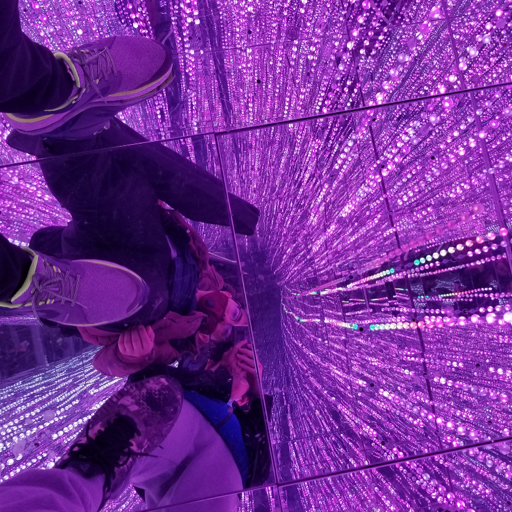 除夕夜的落雨猫 